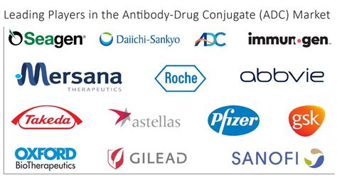 Insights Into The Antibody Drug Conjugate Market And Key Companies