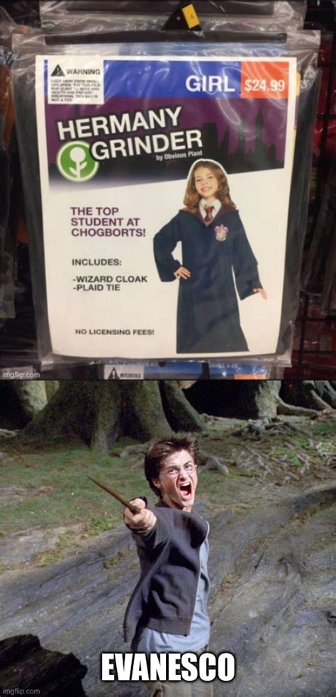 Image Tagged In Harry Potter Imgflip