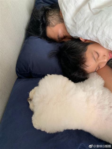 袁咏仪晒张智霖与魔童睡颜 感叹“温暖的画面”手机新浪网