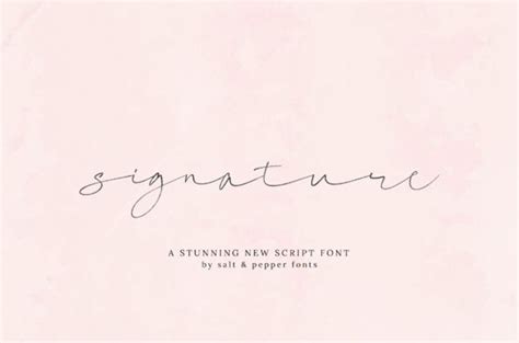 Signature Script Font Creative Fonts