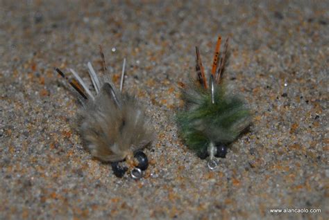 Fly Patterns Saltwater Angling With Alan Caolo