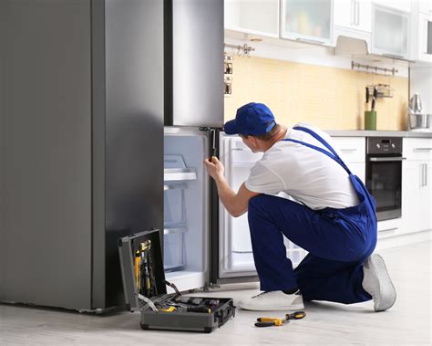 Troubleshooting Common Refrigerator Problems And Solutions Cosmo