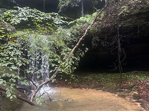 0 County Road 4 Double Springs Al 35553 Zillow