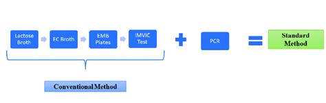 Standard Protocol For The Detection Of E Coli Employing Mpn Method