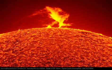 Large Solar Prominence Spektrum Der Wissenschaft