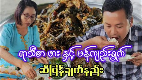 ရာသီစာ ဖား နဲ့ မန်ကျည်းရွက် ဆီပြန်ချက်နည်း Youtube