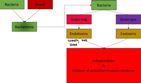 Sepsis Flashcards Quizlet