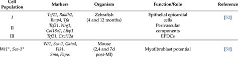 Subtypes Of Epicardial Cells Identified In Different Experimental