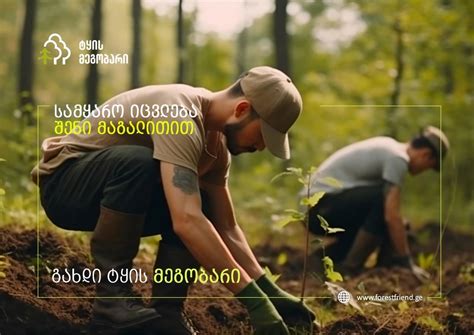 ტყის მეგობარი Tegeta Care