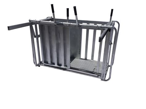 Sheep Weigh Crate And 3 Way Draft Steel Save