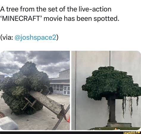 A Tree From The Set Of The Live Action Minecraft Movie Has Been