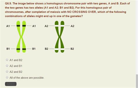 Solved Q610 For The Same Homologous Pair Of Chromosomes