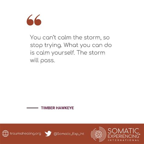 Somatic Experiencing®int On Linkedin Somaticexperiencing