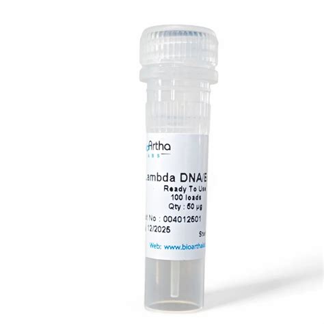 Dna Ladder Dna Marker Latest Price Manufacturers And Suppliers