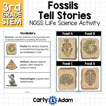 Fossils Tell Stories 3rd Grade Science Lesson NGSS Aligned TPT