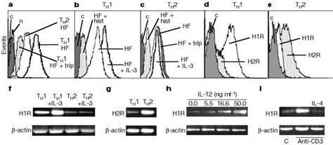 Histamine Regulates T Cell And Antibody Responses By Differential