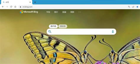 无键盘查找网络信息and编辑文档 — 双白菜