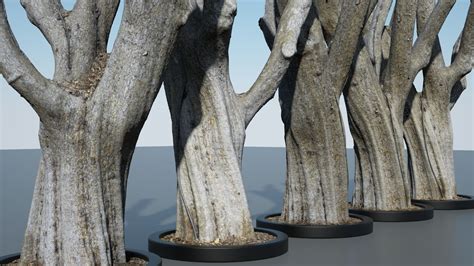 자세한 나무 줄기 3d 모델 10 Fbx Max Ma Obj Stl Free3d
