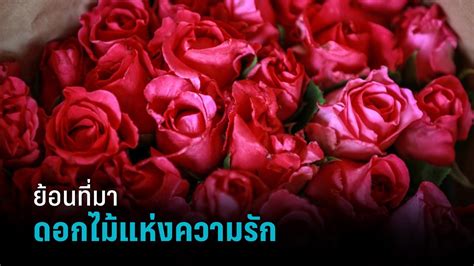 ดอกกหลาบวาเลนไทน BehntonTheon