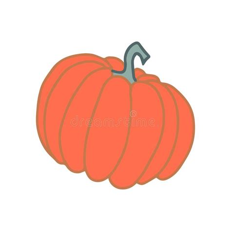 Pumpkin Vegetable Vector Hand Drawn Illustration Seasonal Autumn