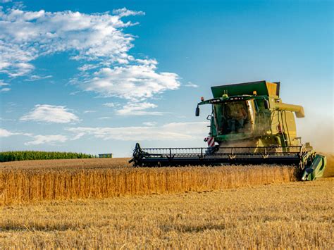 Green Agrofield Trading Llc