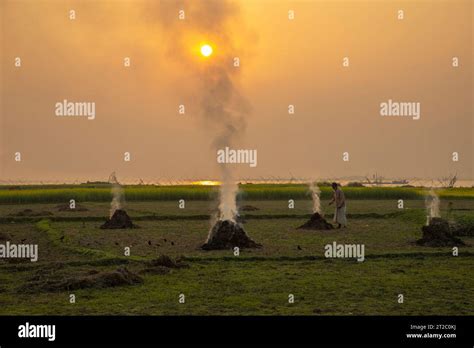 Incineration Of Agricultural Waste Smog And Pollution Harmful