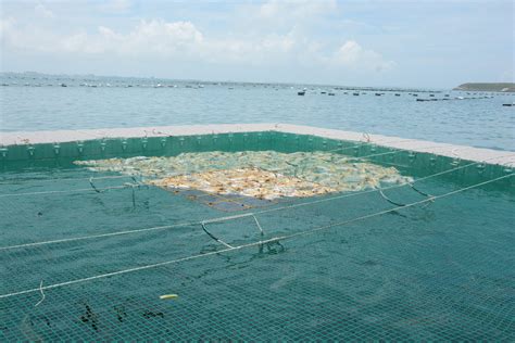澎湖縣災情慘重 陳光復率縣府團隊勘災 指示儘速協助復原 蕃新聞