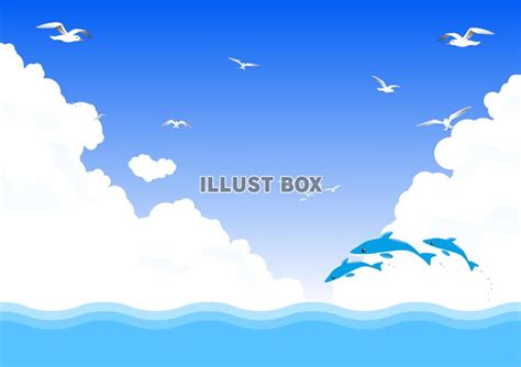 無料イラスト 海のイラスト イルカとカモメ