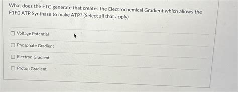 Solved What Does The Etc Generate That Creates The