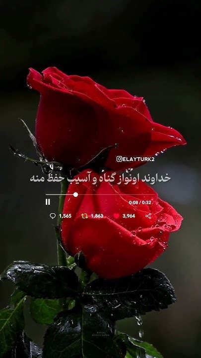 شاد باشید Youtube