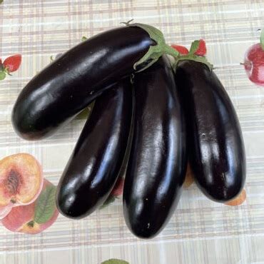 Баклажан Міла F1 1000 шт Lark Seeds | Агростарт