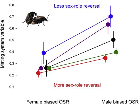 Sex Ratio Bias Leads To The Evolution Of Sex Role Reversal In Honey Locust Beetles Current Biology