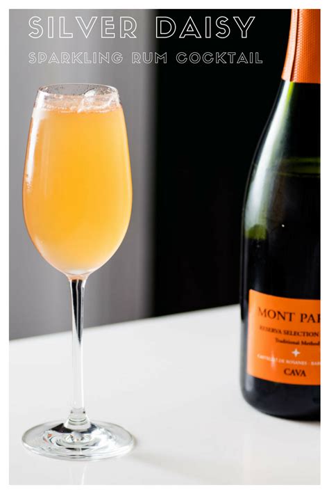 Sparkling Rum Daisy Cocktail
