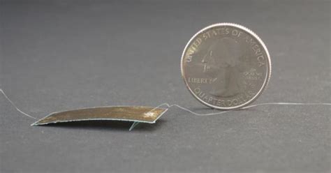 Cockroach Inspired Robot Survives Being Stepped On