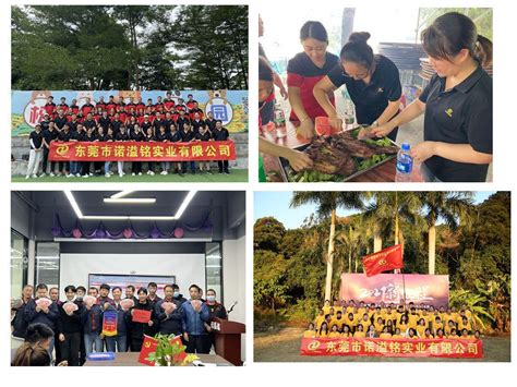 Odm Oem Manufacturer Crown Spring Connector Terminal Energy Storage High Current Female