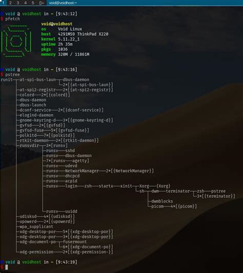 Cara Setup Zsh Shell Linux Mrfdn