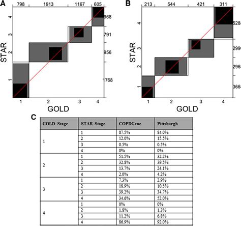 Fev1 Fvc Severity Stages For Chronic Obstructive Pulmonary Disease Pubmed