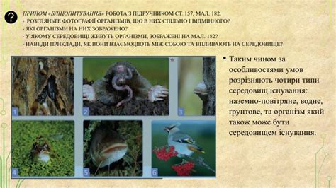 Презентація «Що таке середовище існування Пізнаємо природу 6 клас