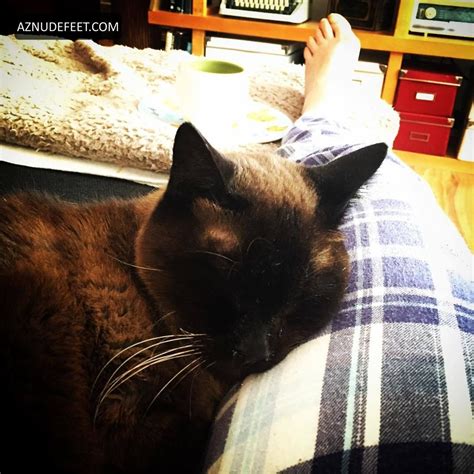 Sofia Nicholson Feet Aznudefeet