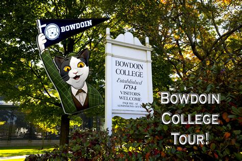 Bowdoin College Campus Tour The Curio Cat