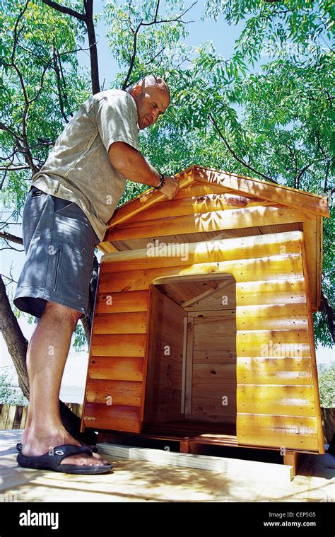 FORBuild A Tree House Step Male Putting Roof On Top Of A Small Shed To Create The Tree House