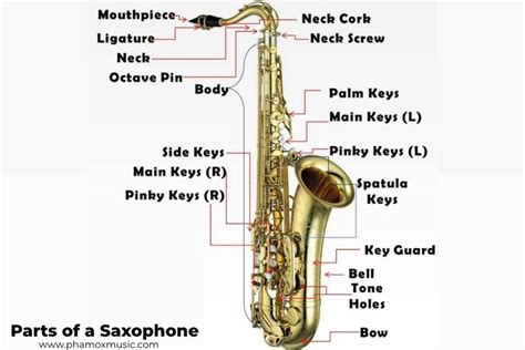 Parts Of A Saxophone You Need To Know Phamox Music