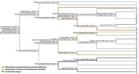 Dendrogram With Clusters Obtained By Twinspan Download Scientific Diagram