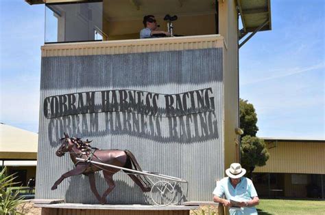 Dooo Dont Think Stars On Debut At Cobram Shepparton News