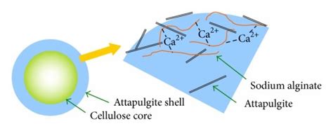 Schematic Depiction Of Core Shell Structure Of Cellulose Attapulgite