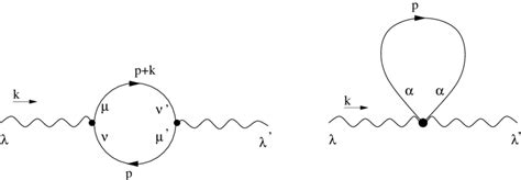 Diagram Representation For The One Loop Neutral Polarization Tensor Download Scientific