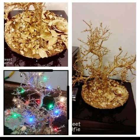 کمدا قیمت و خرید درختچه رنگ طلایی سایز 40و 35