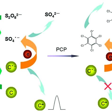 Sensing Behavior Of Cqds And Gqds For Detection Of Heavy Metal Ions