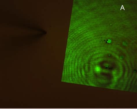 Surface Plasmons Imaging Nanonics Imaging