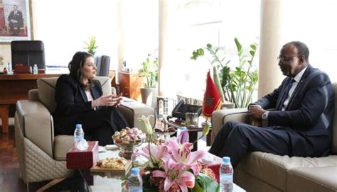 الوزيرة فاطمة الزهراء المنصوري ووزير الإسكان الموريتاني يتفقان على
